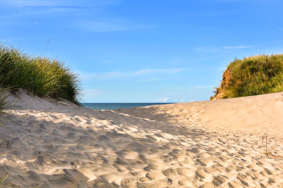 Plage De La Parée : La Destination Familiale Par Excellence - Location ...